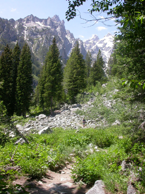 Cascade Canyon, Grand Teton National Park – Mary Donahue