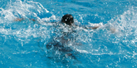 How to rescue a drowning victim using a reaching assist or a shepherd’s ...