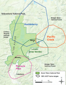 Wolf pack territories in Grand Teton and Yellowstone National Parks and ...