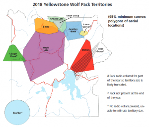 Wolf pack territories in Grand Teton and Yellowstone National Parks and ...