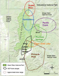 Wolf pack territories in Grand Teton and Yellowstone National Parks and ...