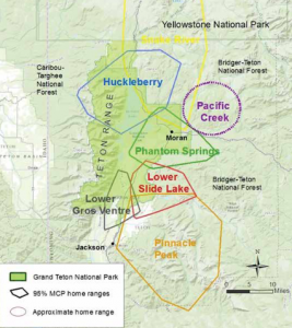 Wolf pack territories in Grand Teton and Yellowstone National Parks and ...