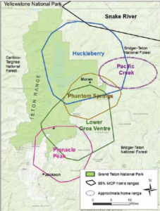 Wolf pack territories in Grand Teton and Yellowstone National Parks and ...
