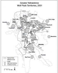 Wolf pack territories in Grand Teton and Yellowstone National Parks and ...