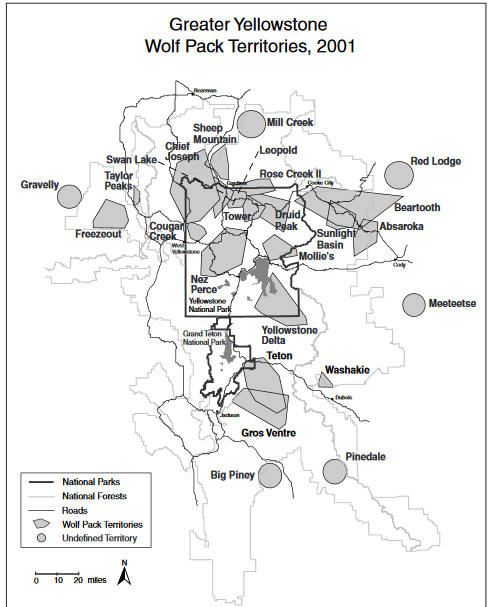 Wolf pack territories in Grand Teton and Yellowstone National Parks and ...