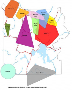 Wolf pack territories in Grand Teton and Yellowstone National Parks and ...