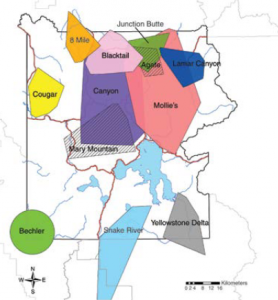 Wolf pack territories in Grand Teton and Yellowstone National Parks and ...