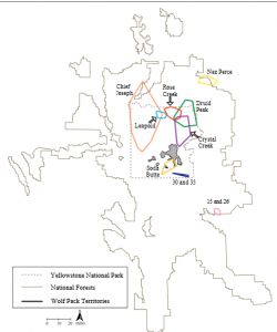 Wolf pack territories in Grand Teton and Yellowstone National Parks and ...